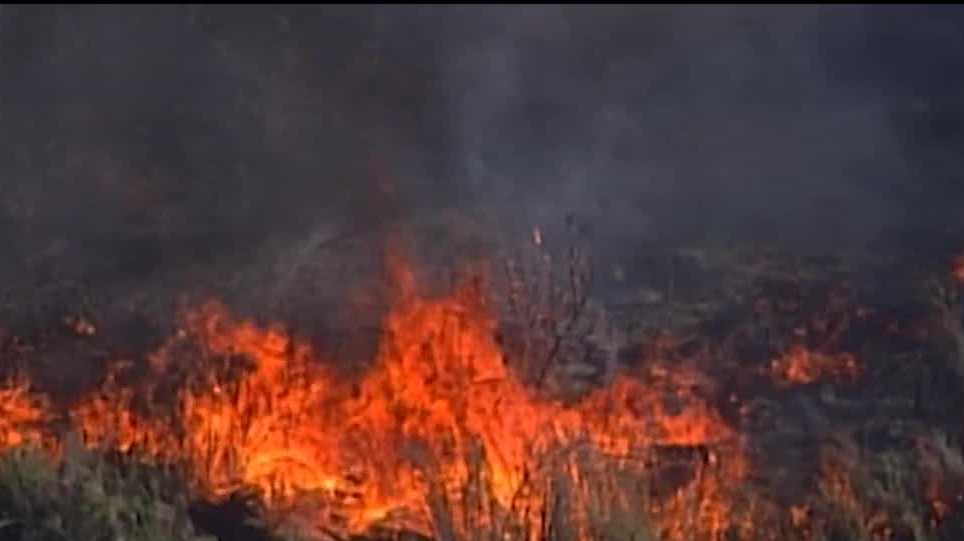New Mexico fire officials focus on recovery from ABQ Bosque fire