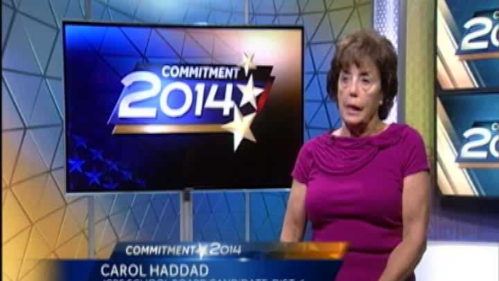 In their own words: Carol Haddad on her vision for education in the ...