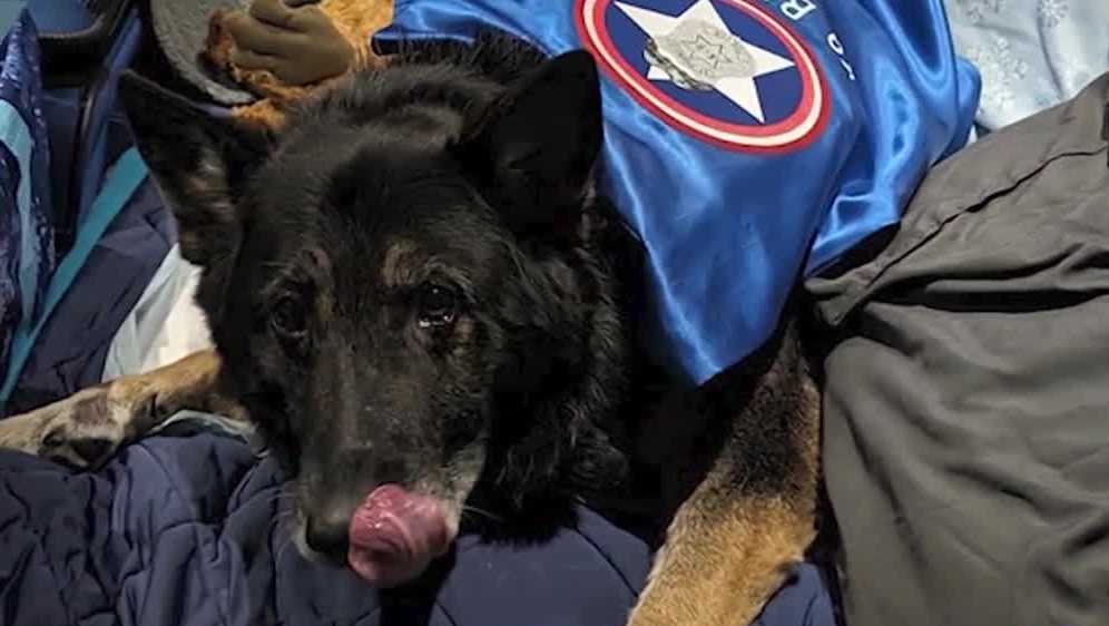 St. Francis police K9 Bane dies after battle with rare nerve disorder