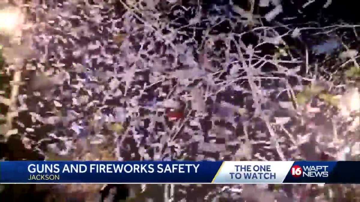 Local officials urge fireworks, firearm safety this New Years'