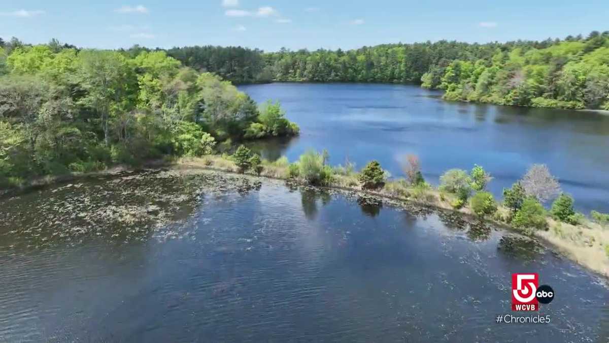 Efforts underway to preserve Muddy Pond in Kingston, Mass.