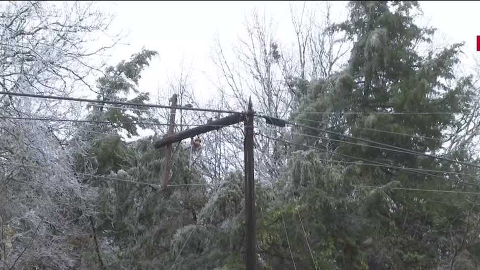 Downed power line in Crawford County