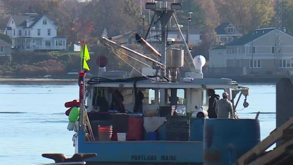 Atlantic cod catch at new low; overfishing, other factors blamed