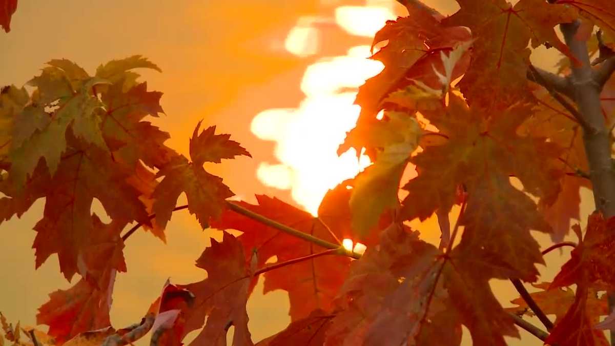 It's beginning to look like autumn