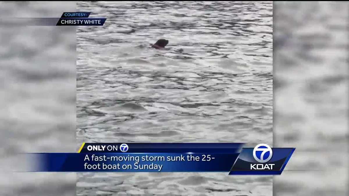 Video shows dramatic rescue of two dogs trapped inside sinking boat