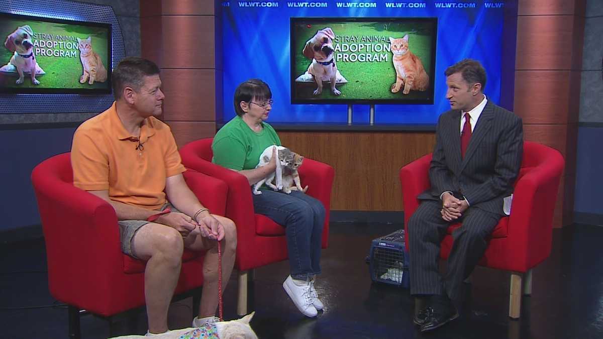 Animals available for adoption through SAAP