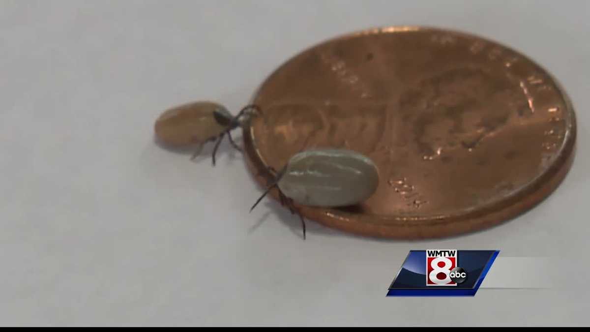 New England lab offers faster tick test results, peace of mind
