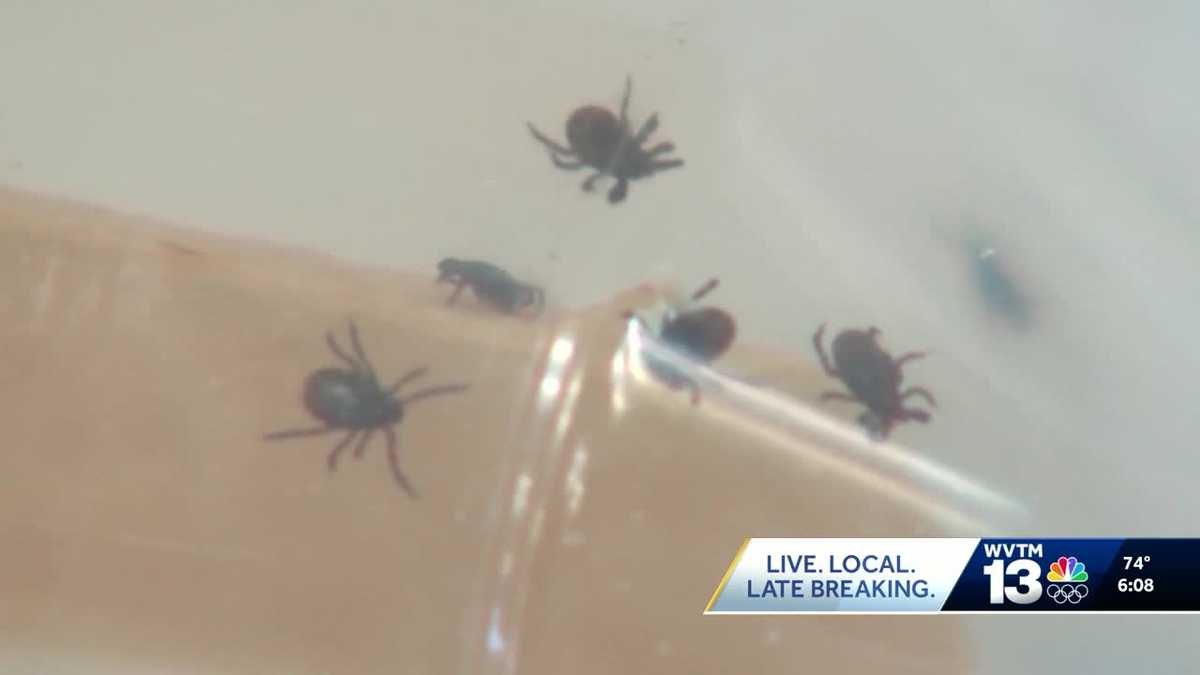 Tick bites increase across the U.S., affecting Alabama residents
