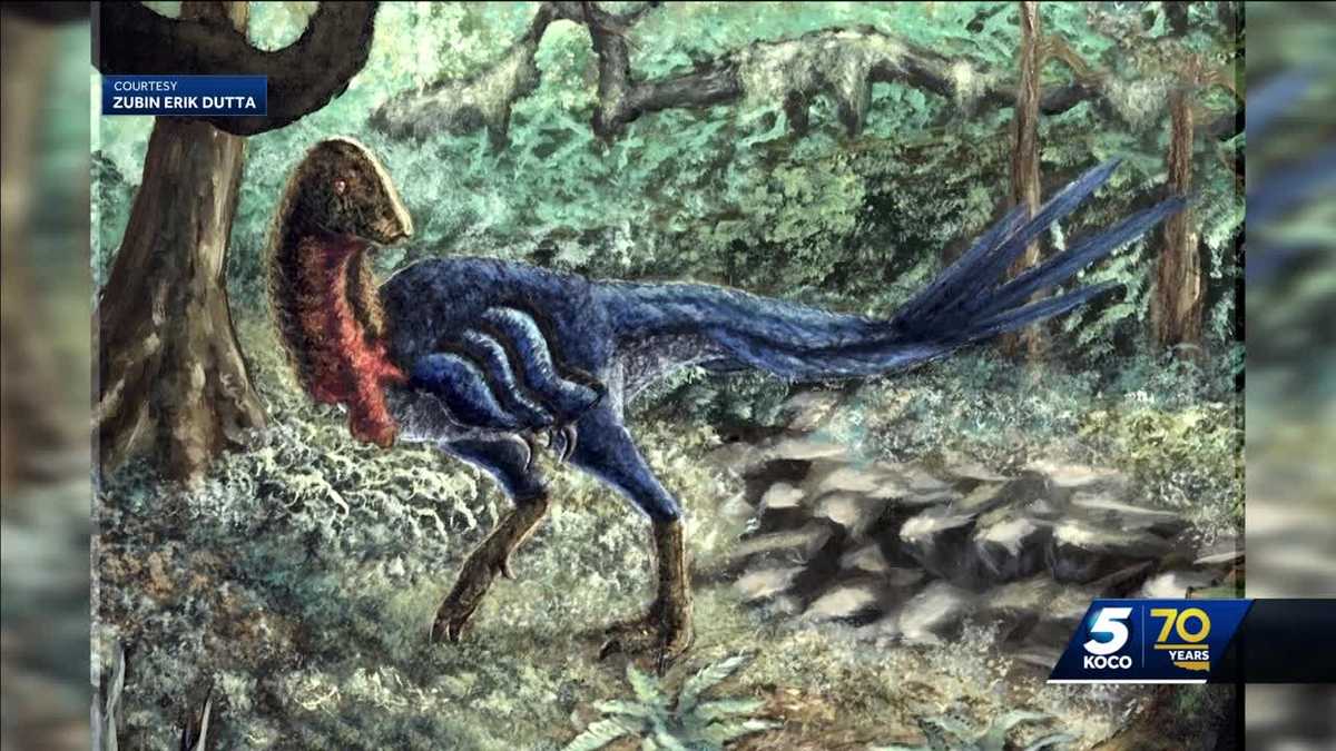 Oklahoma State University student discovers new dinosaur species