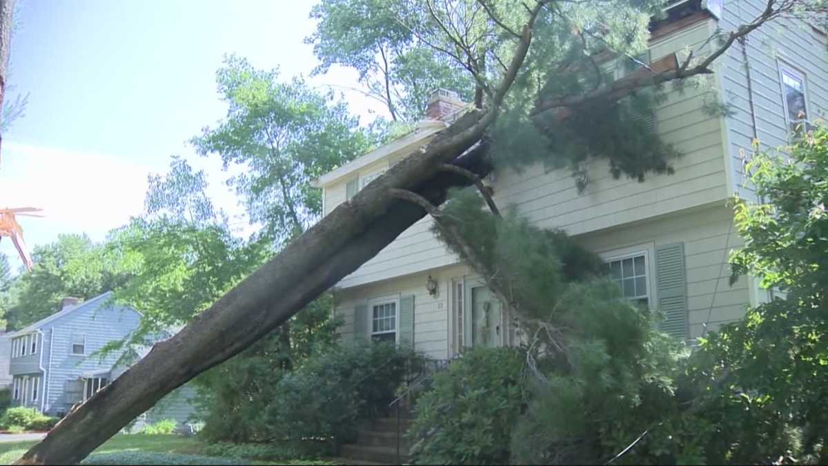 NWS: Multiple microbursts ripped down trees, wires Monday