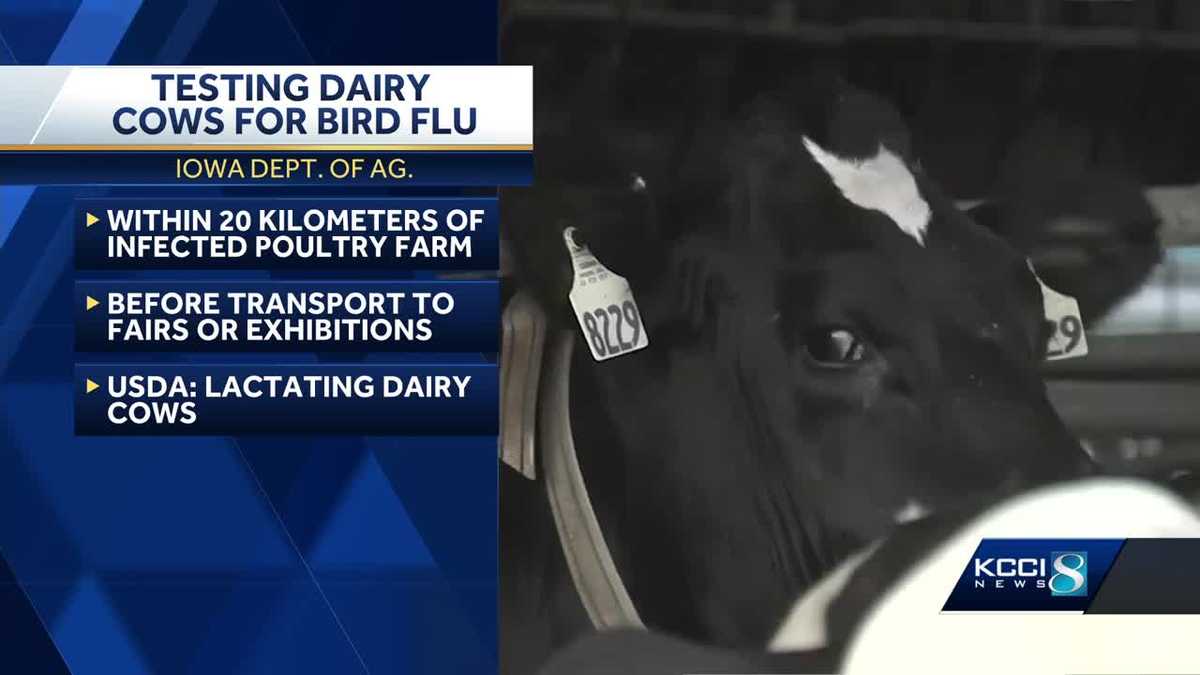 Moderna commissioned to develop bird flu vaccine for humans