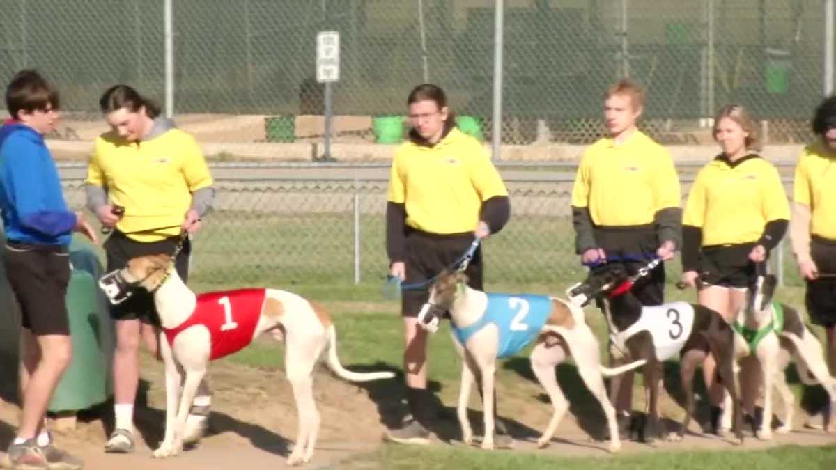 Iowa Greyhound Park hosts final season of racing