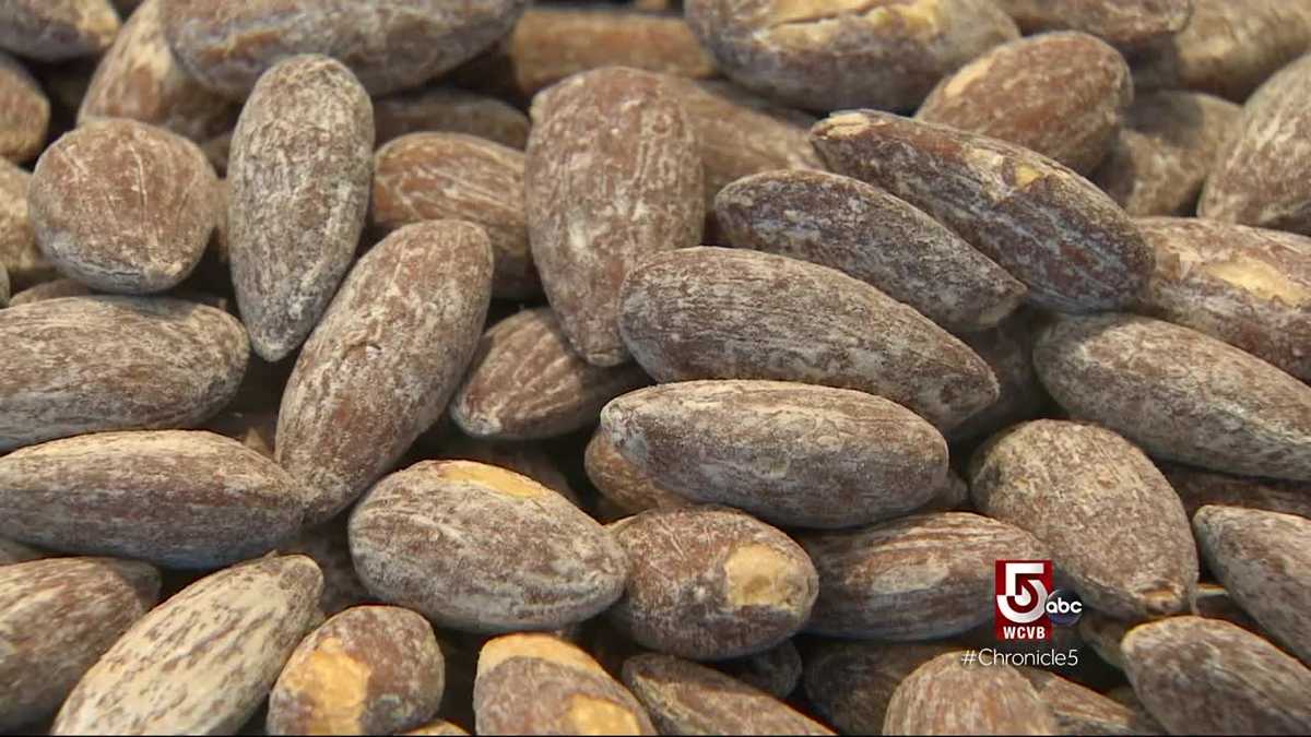 Made in Mass: Fastachi Nuts