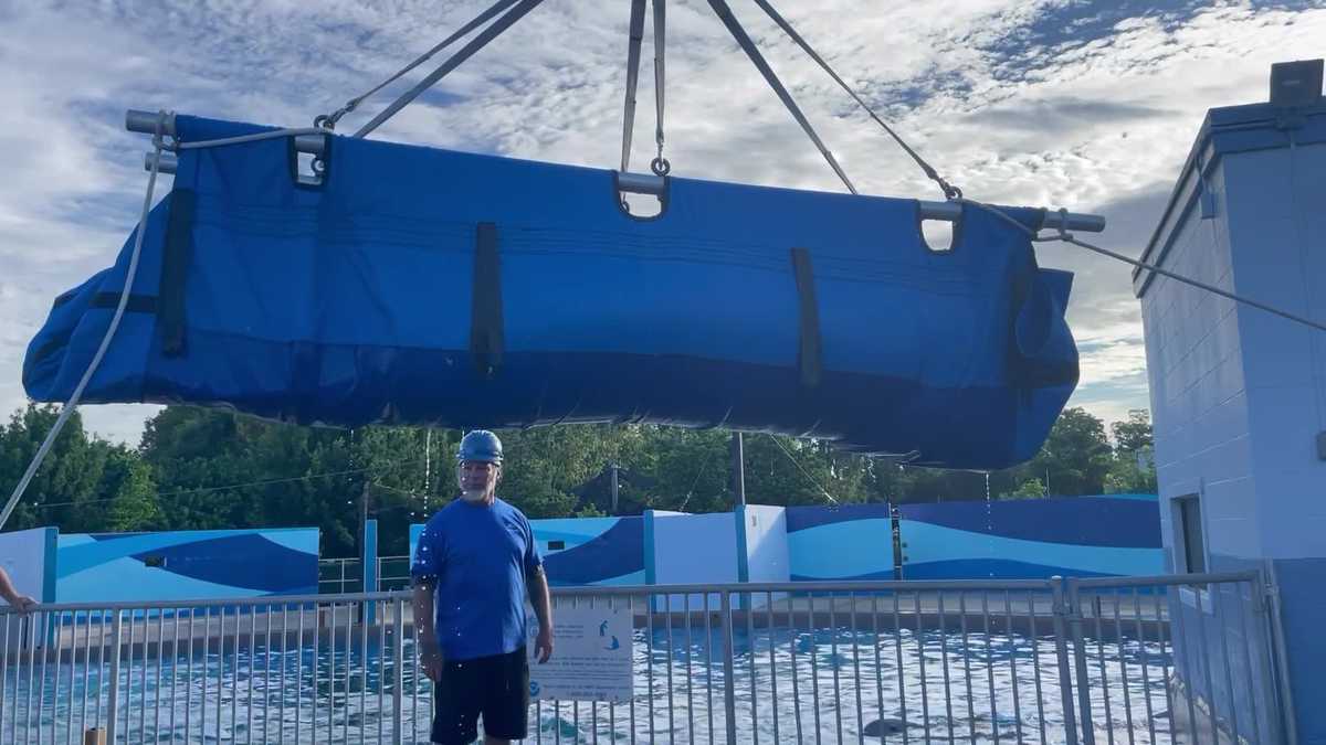 SeaWorld releases distressed manatee from rehabilitation