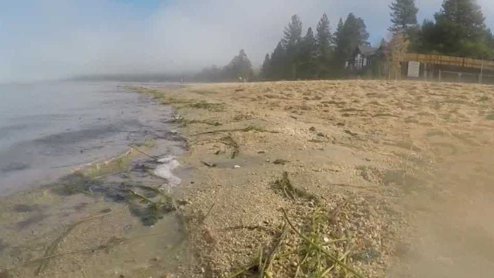 ‘It’s not the Tahoe you’re used to’: The fight against aquatic invasive ...