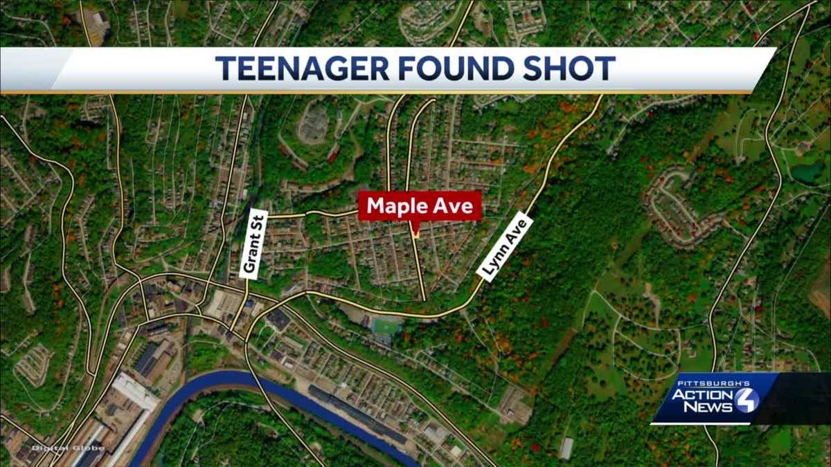 17-year-old injured in Turtle Creek shooting