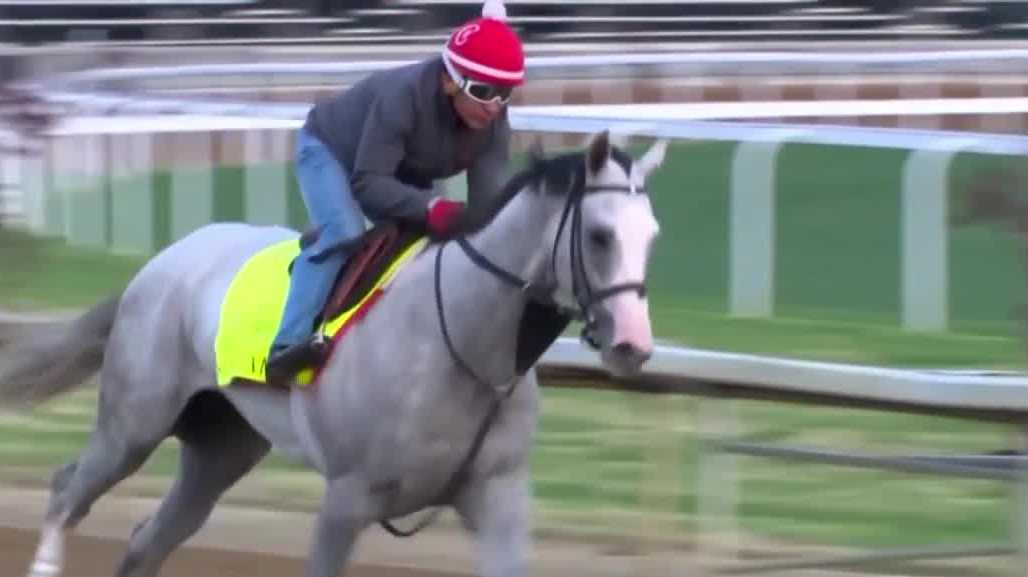 New effort to bring horse racing to Marion as decoupling threat looms