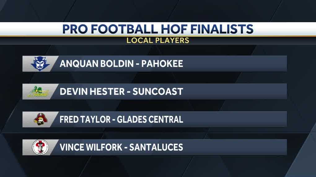 Wilfork, Taylor, Hester, Boldin semifinalists for Pro Football Hall of Fame 2024 class
