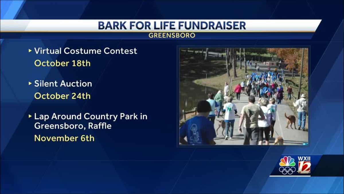 Triad: Annual 'Bark for Life' event kicks off soon