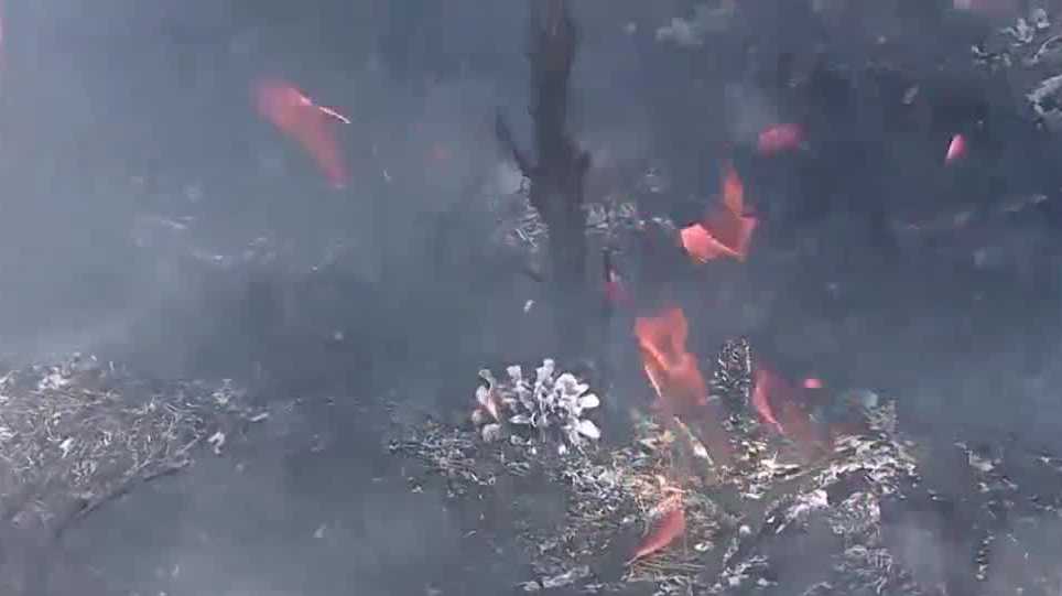Brush Fire Awareness Week: Preparing for brush fire evacuations