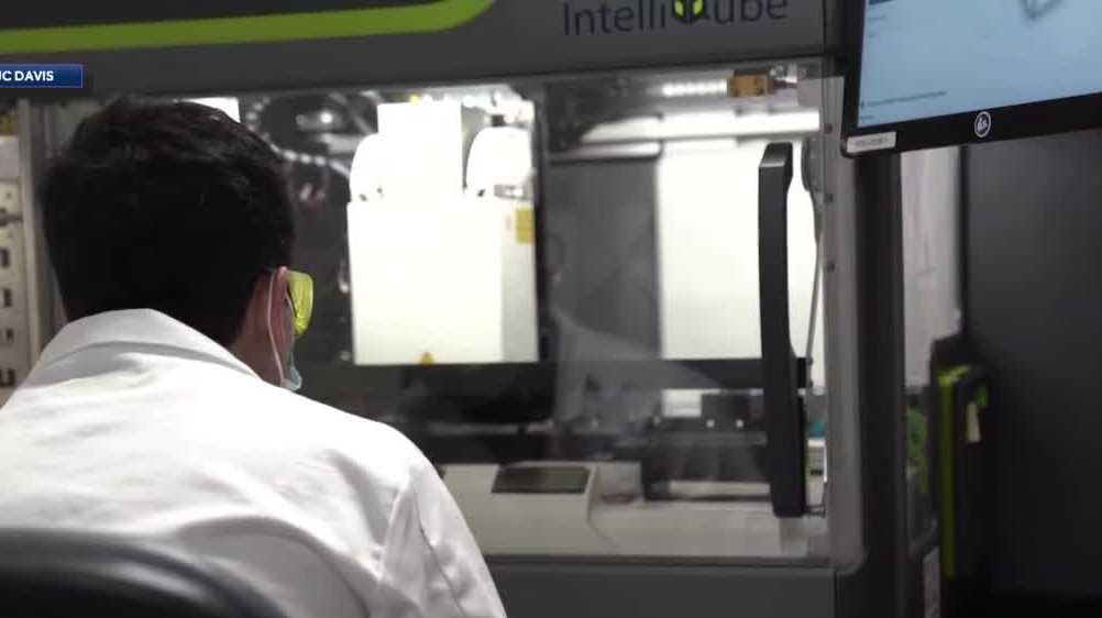 UC Davis lab helps state track COVID-19 variants such as omicron