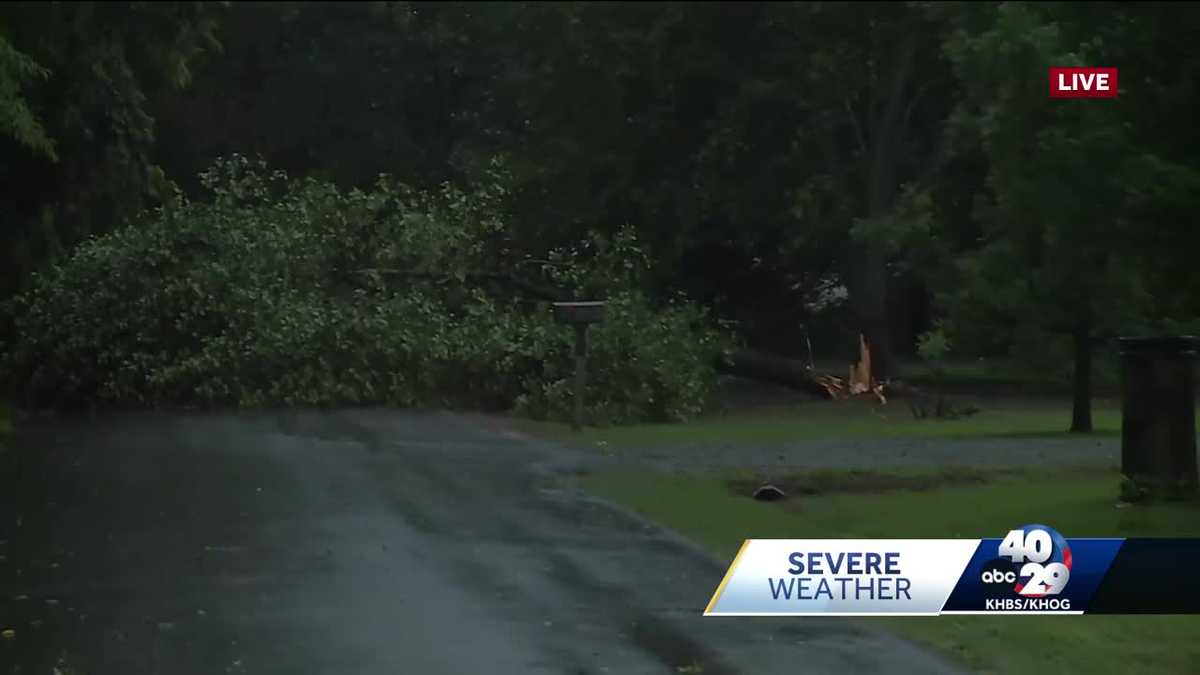 Sunday morning storms topple trees, power lines