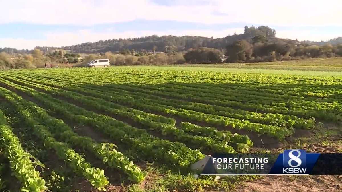 Santa Cruz organization helps farms transition to green farming systems