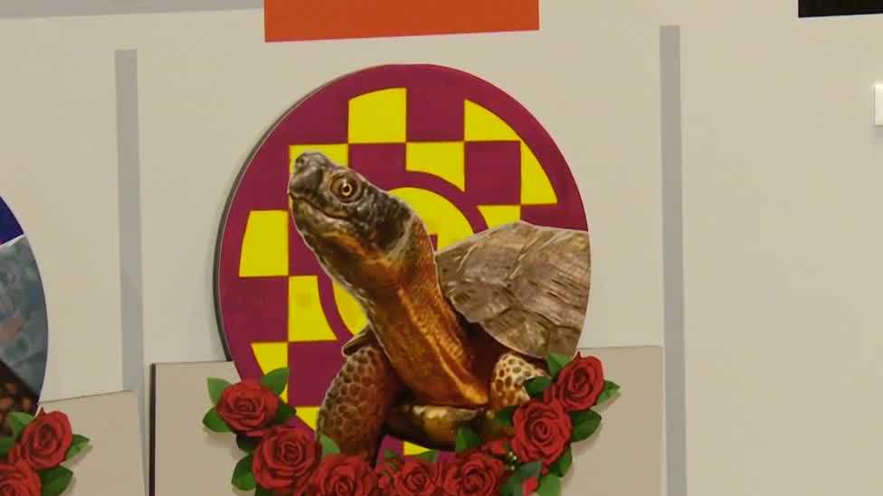 Old Forester bringing back 3rd annual Kentucky Turtle Derby