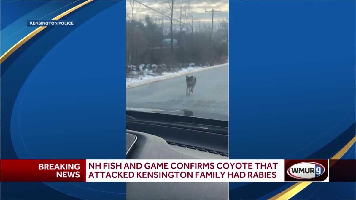 Rabies confirmed in coyote that attacked family