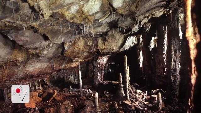 Are Cavemen Responsible For The Extinction Of An Entire Species?