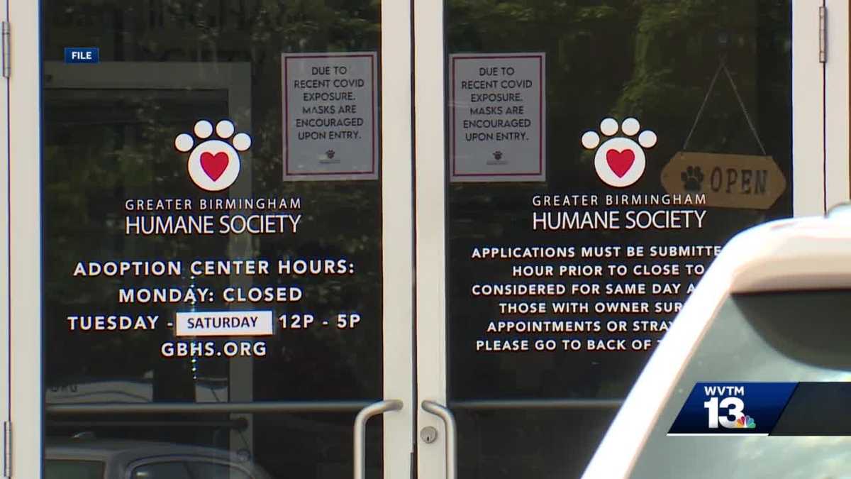 Greater Birmingham Humane Society resumes adoptions after battling ...