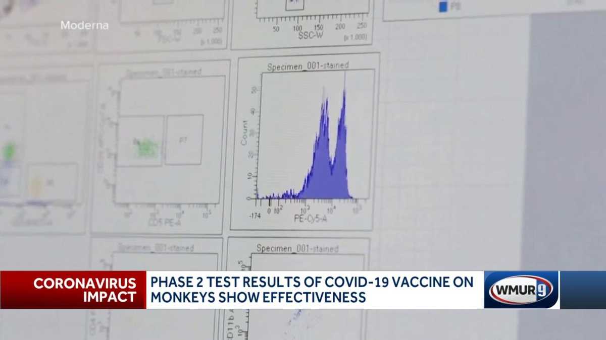 Phase 2 test results of COVID-19 vaccine shows effectiveness on monkeys