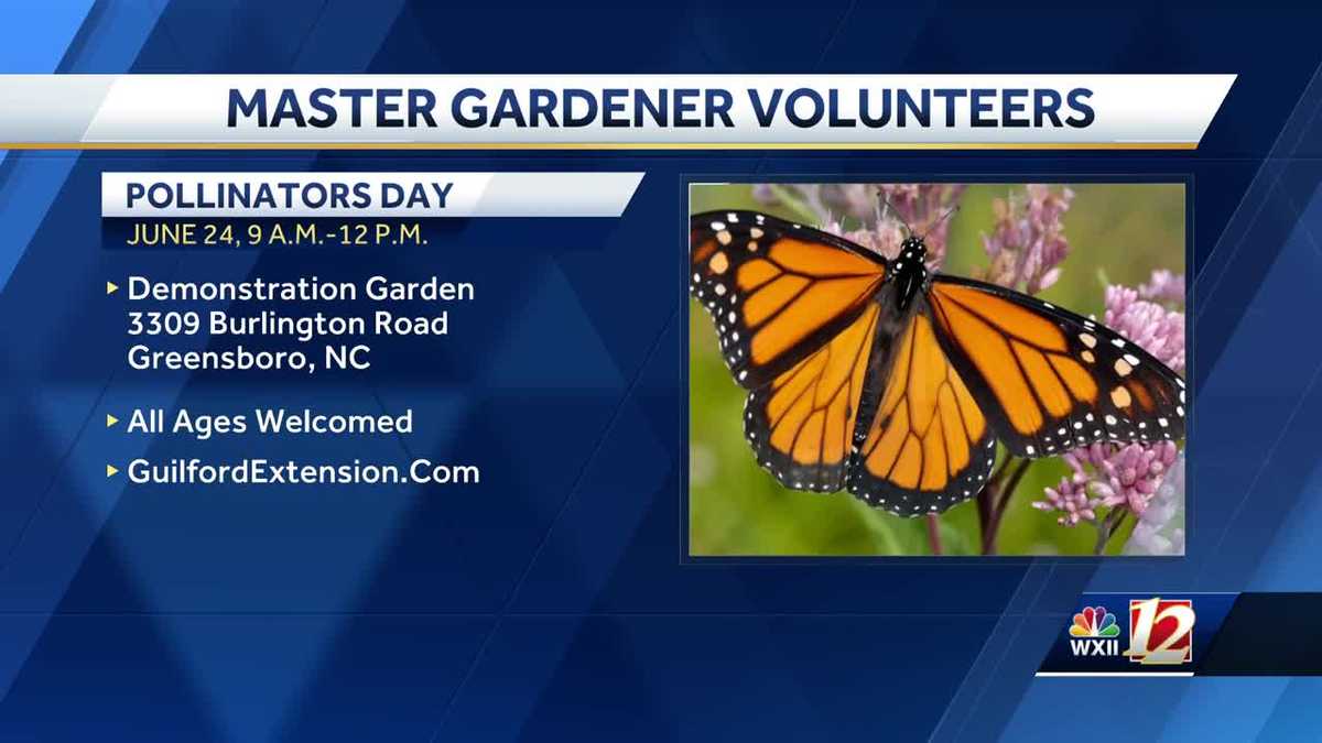 Celebrate Pollinators Day in the Triad!