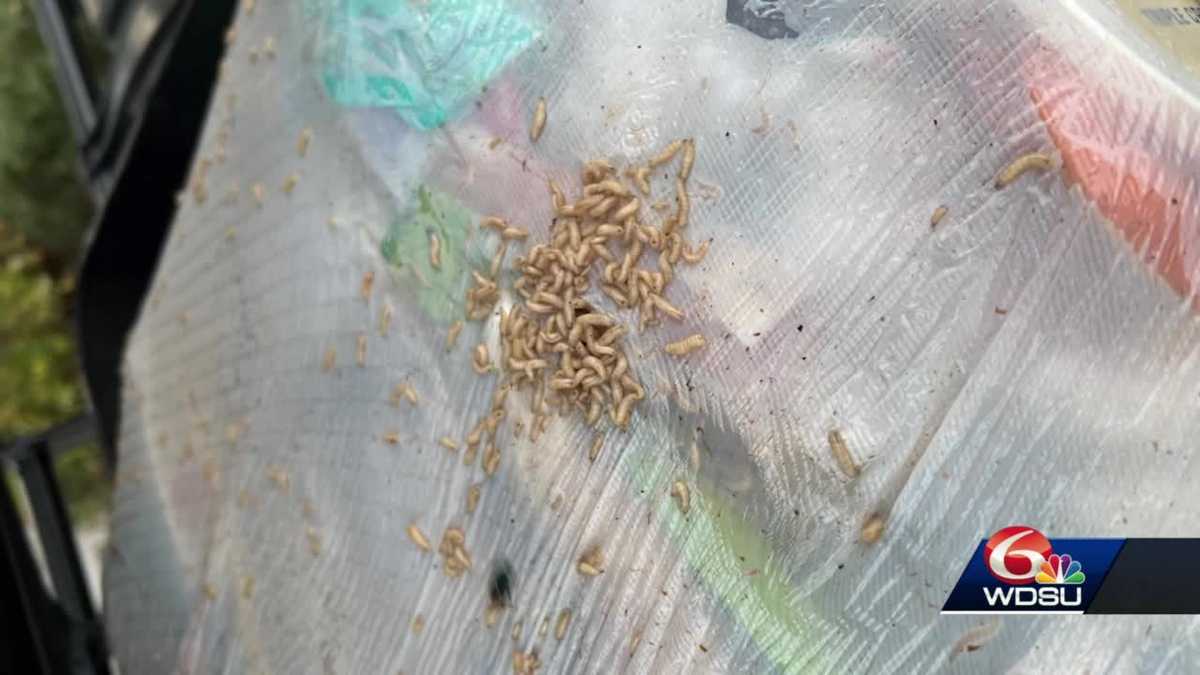 New Orleans trash, street problems