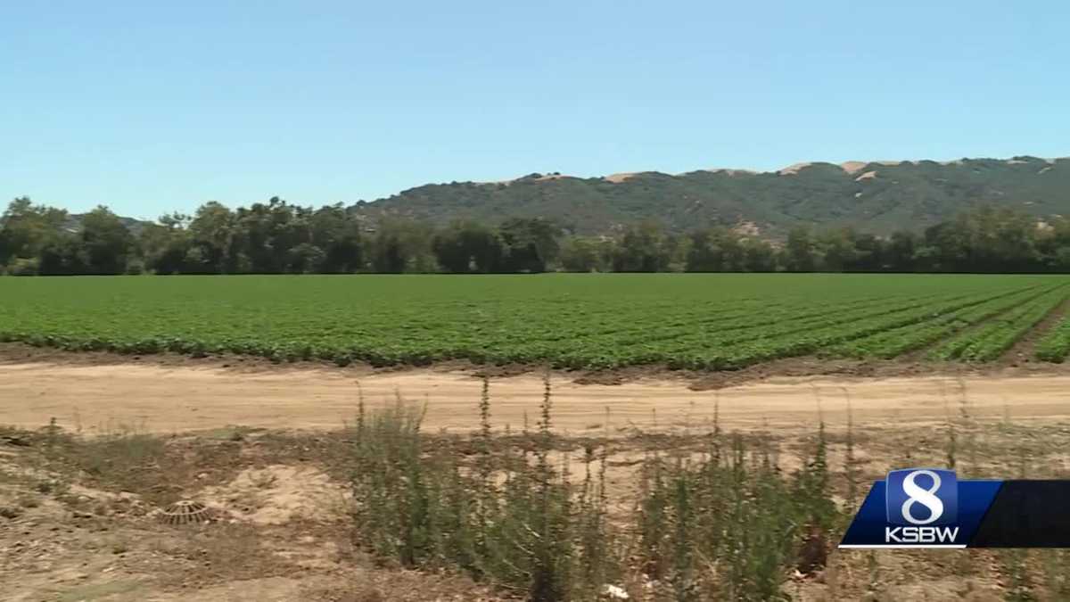 Gilroy, San Jose Sharks parent company finalizing deal to build ice ...