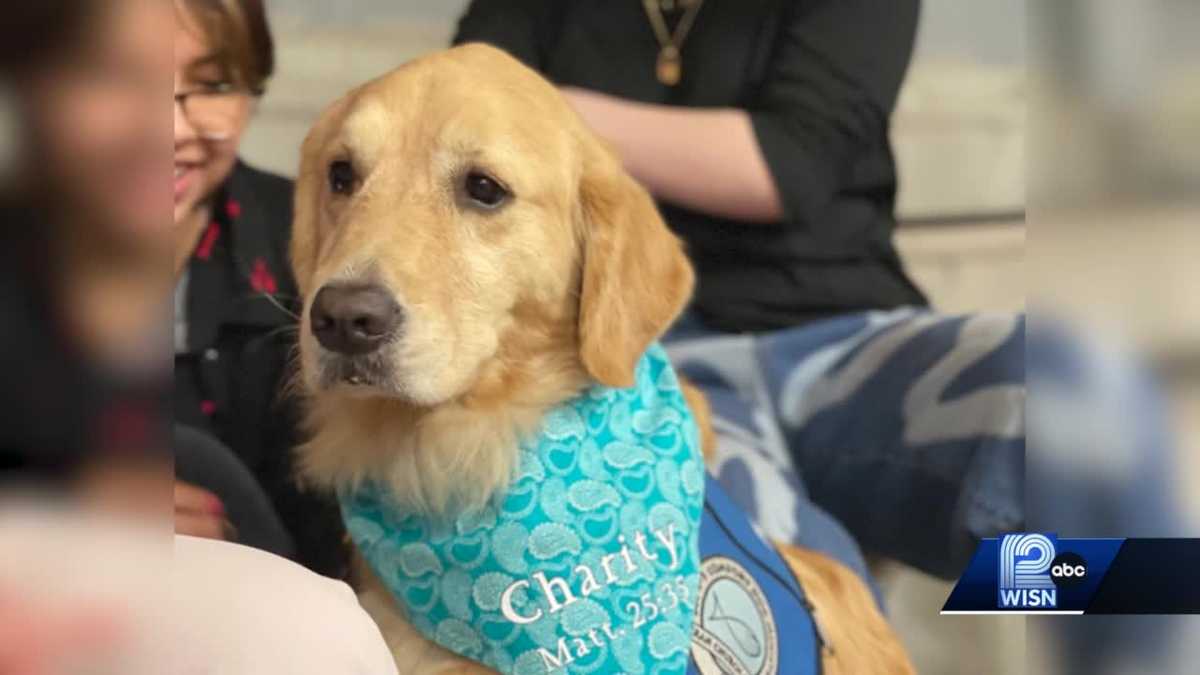 Brookfield K-9 comfort dog goes to Uvalde, Texas