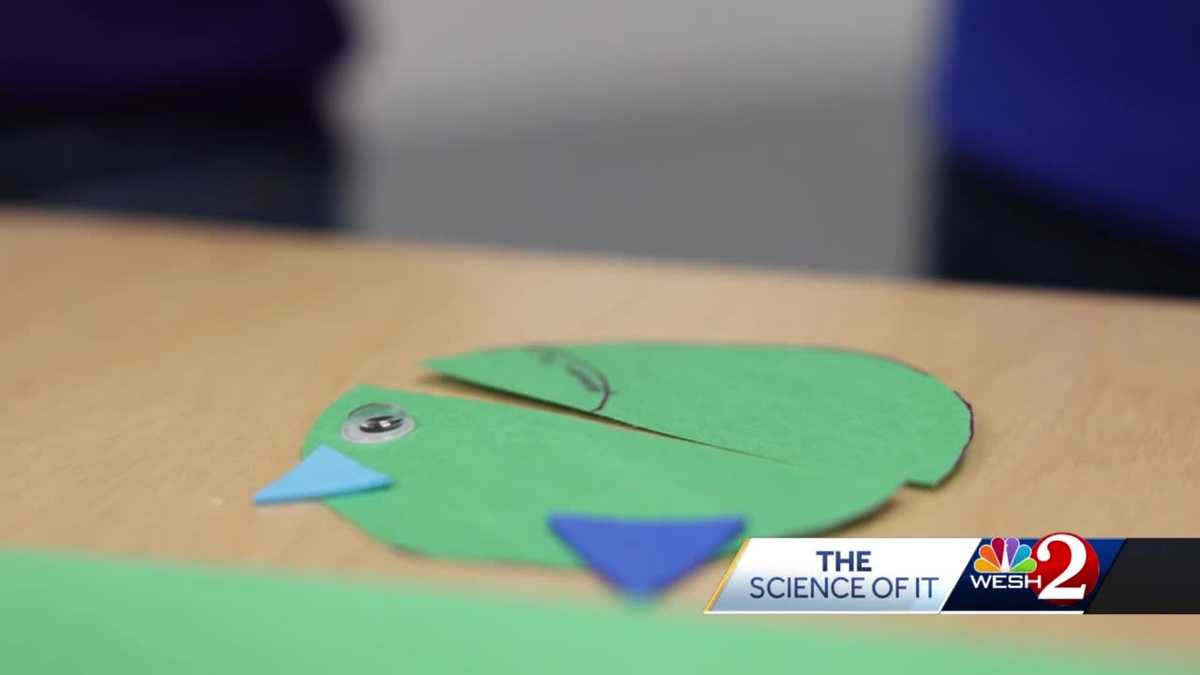 The Science of It: Making Puppets