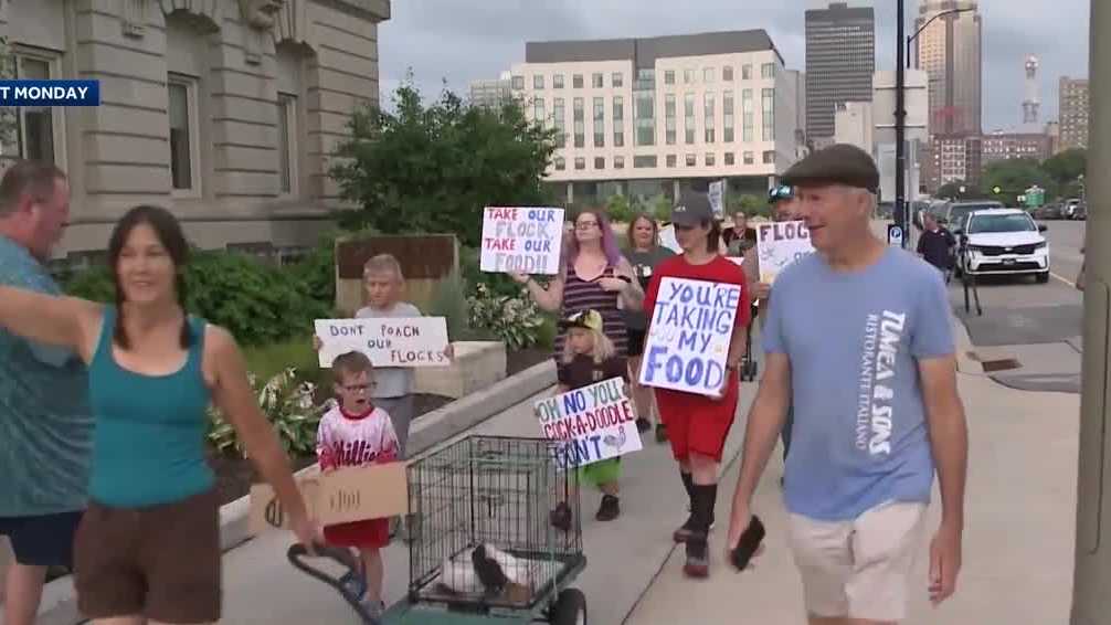 Des Moines chicken ordinance: City Council pushes back changes