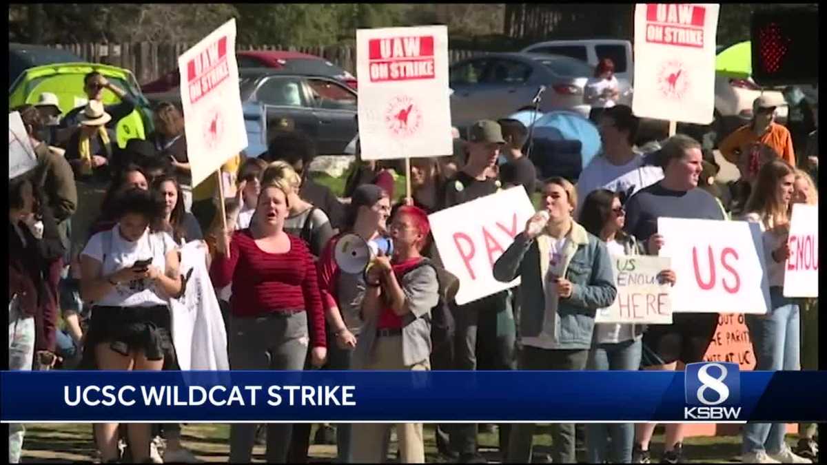 17 arrested during UCSC grad student protest