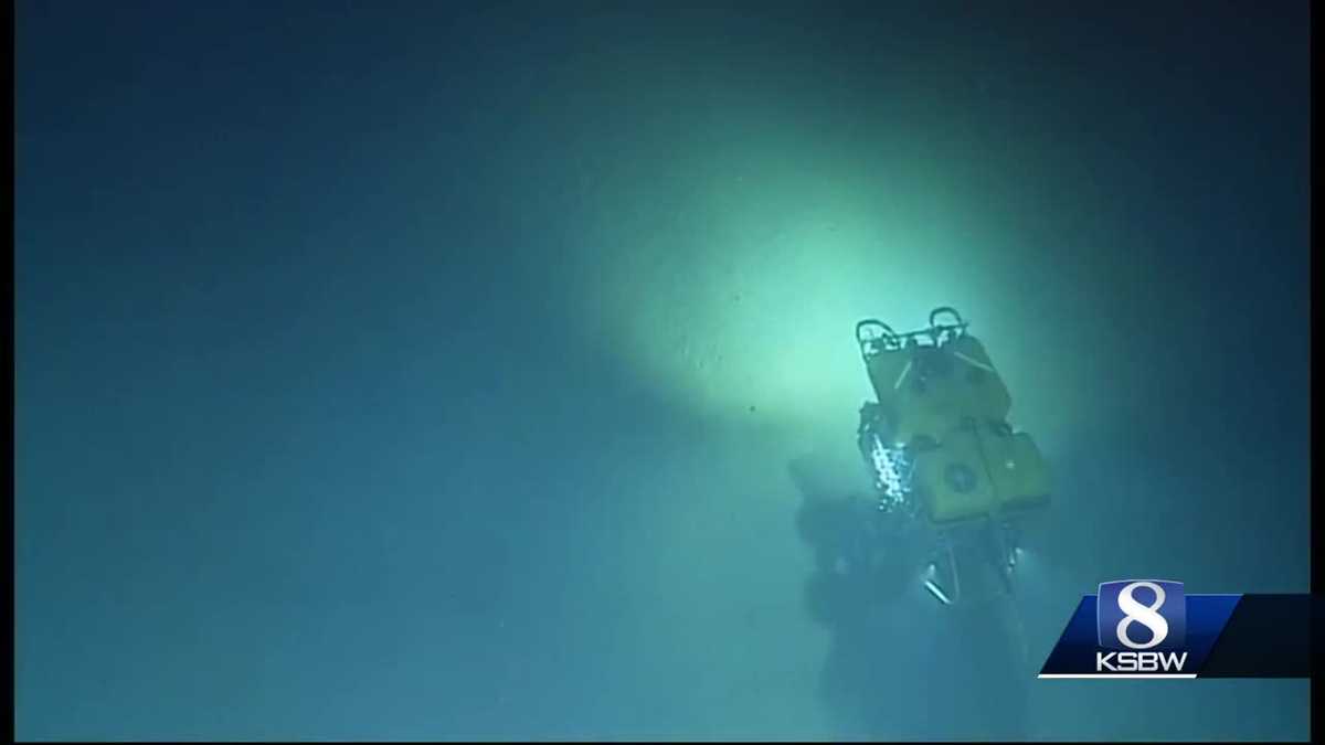 Scientists livestreaming the deep sea of Monterey Bay