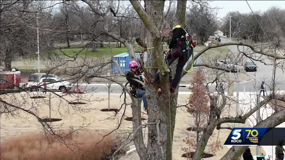 Oklahoma tree servicers learn to climb, save injured coworkers