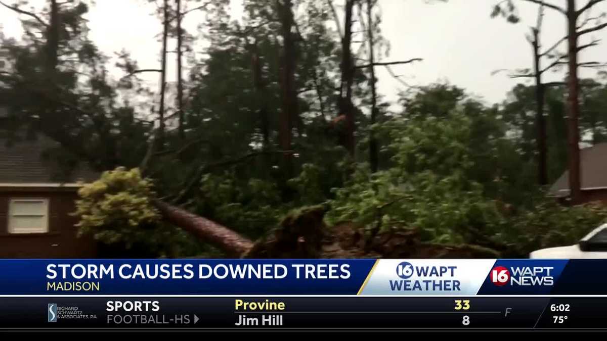 Storm damage in Madison was caused by a F-1 tornado