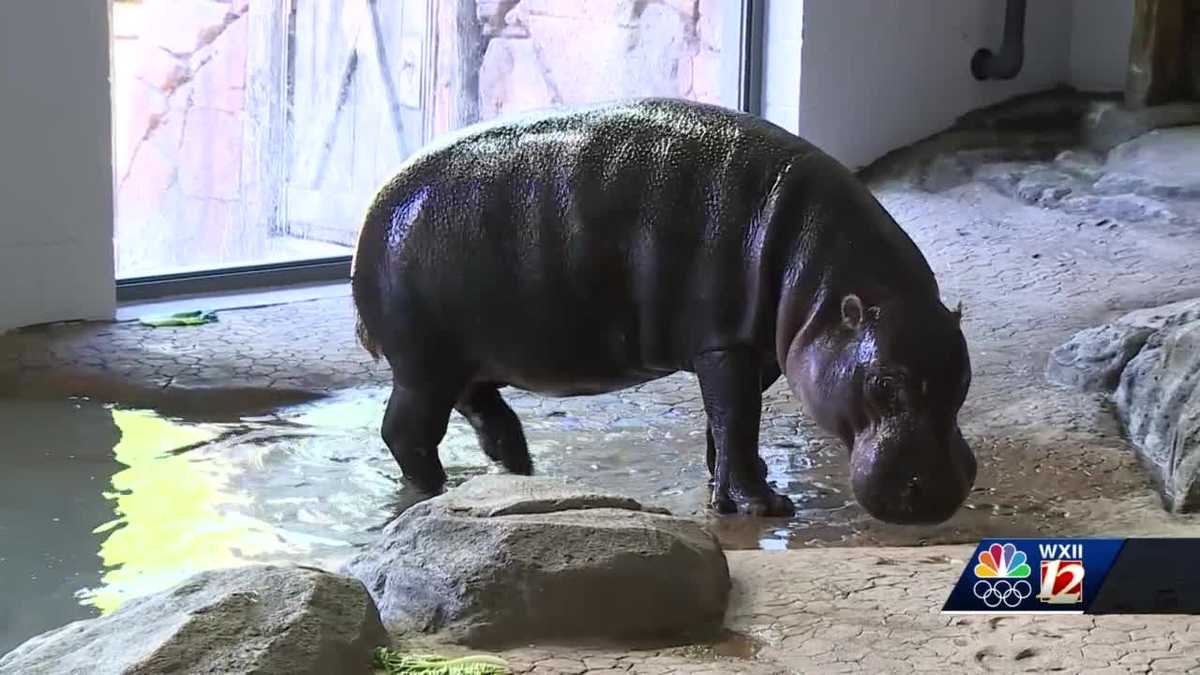 Greensboro Science Center expanding to help endangered species