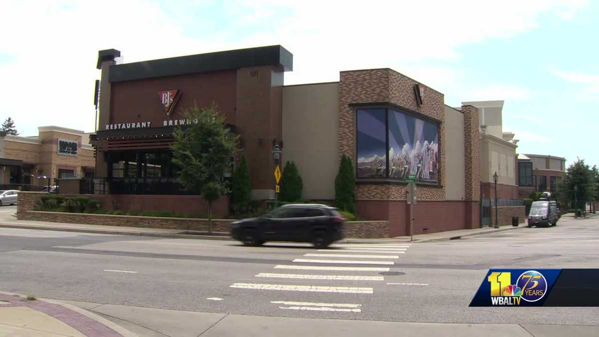 Charging documents reveal details behind killing of Towson teen