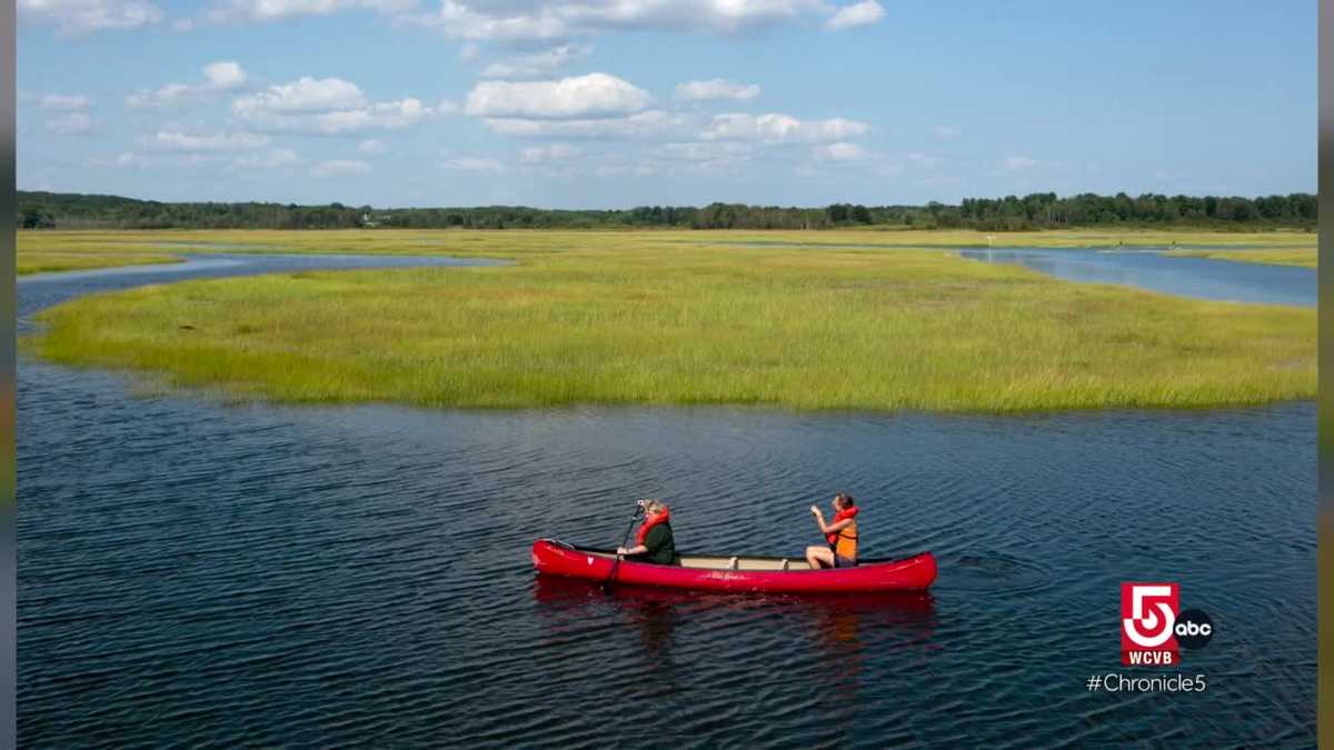 Southern Maine home to hilltop views and salt marsh habitat