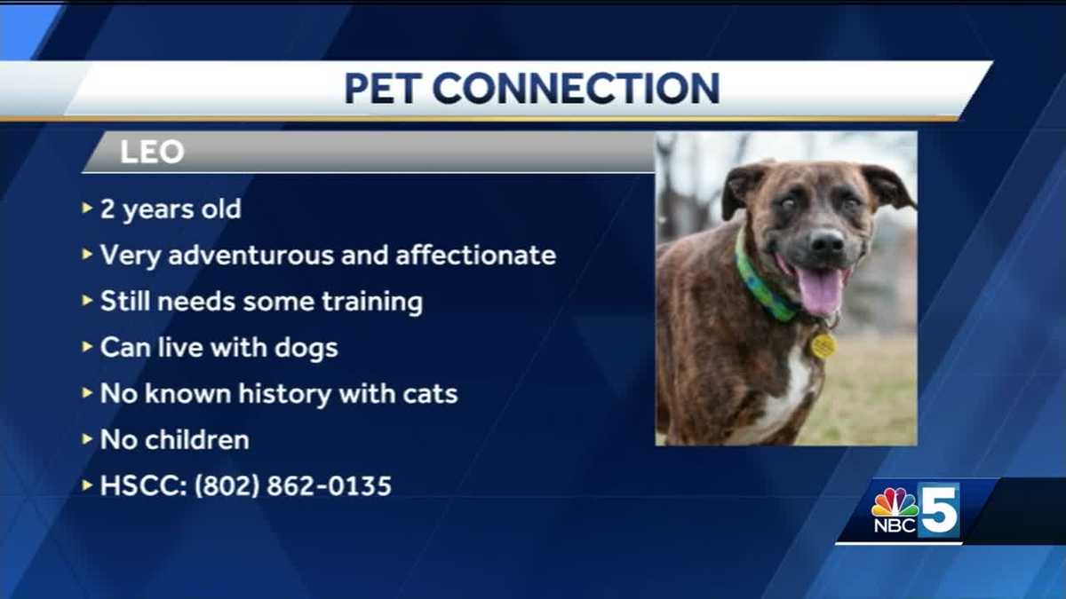 Pet Connection: 4-26-18