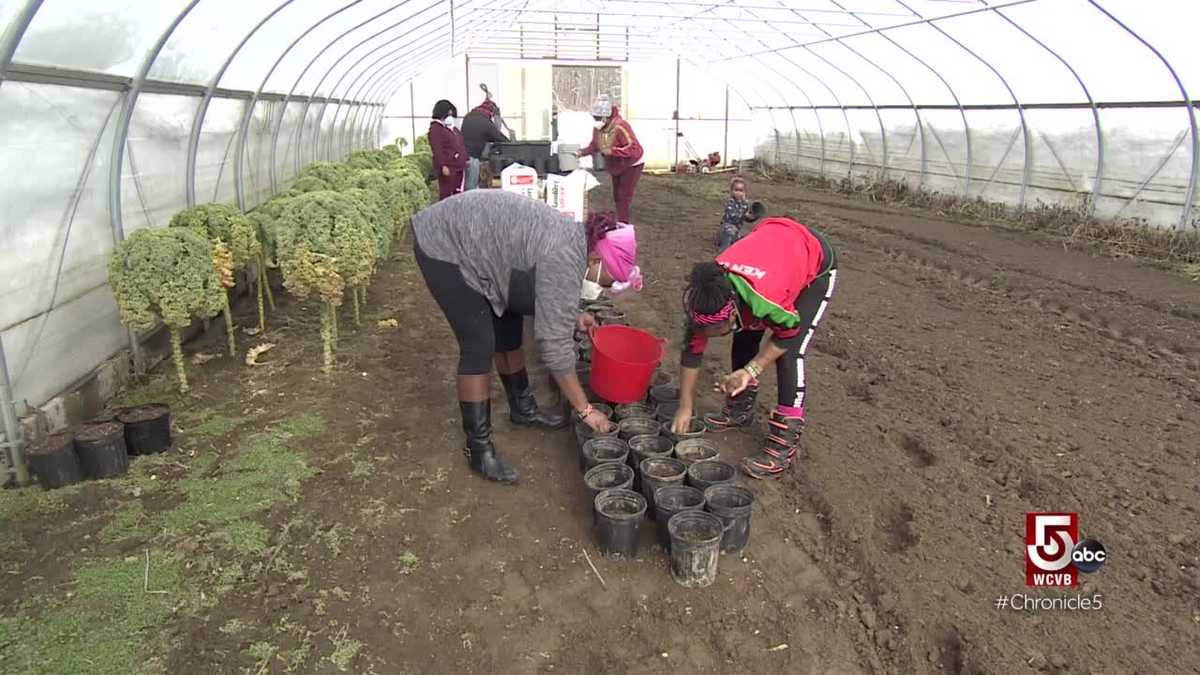 World Farmers give immigrants and refugees opportunities to grow