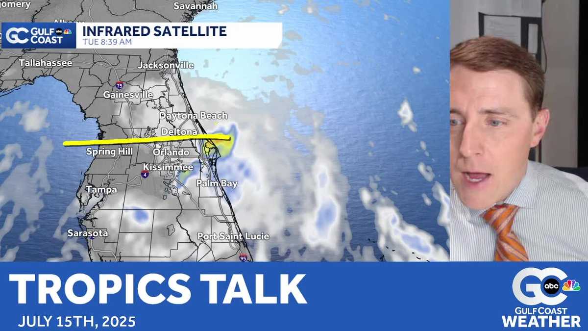 Tropical system to bring heavy rain to the Florida Gulf Coast
