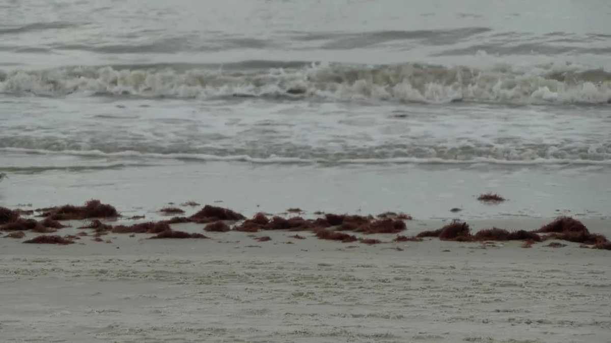 Fort Myers Beach wrapping up cleanup following Tropical Storm Debby