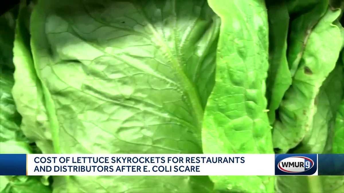 Restaurants deal with spike in lettuce prices